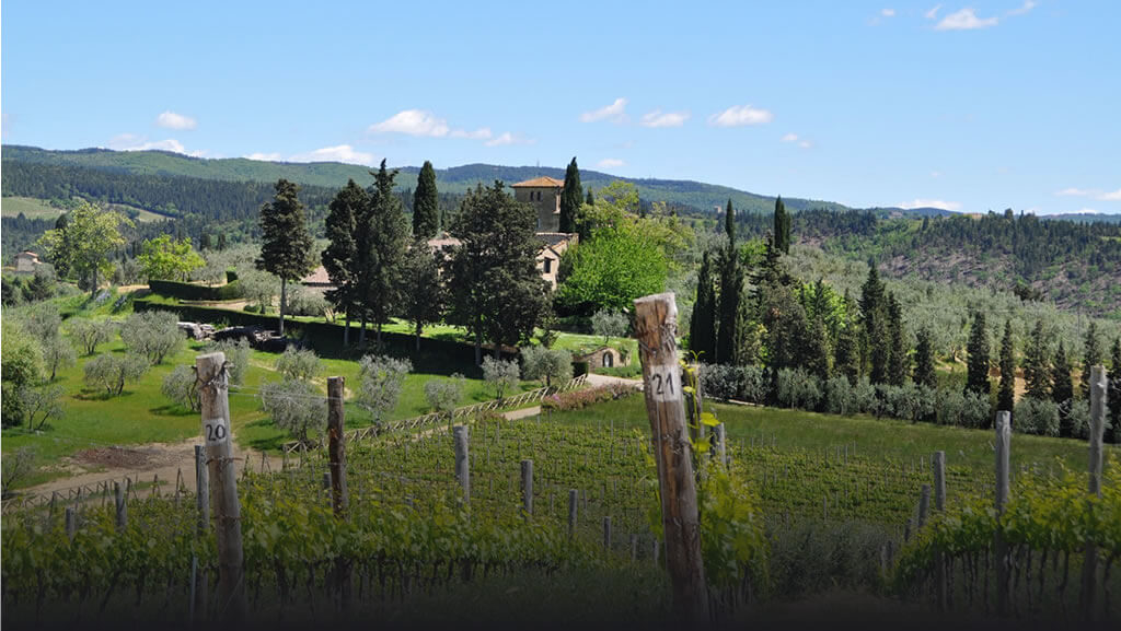 Castello di Monsanto - Freixenet Mionetto